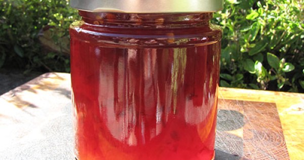 Round Jam Jars - Bottle Company South